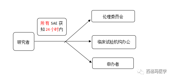 一文读懂|2022器械GCP下，研究者和申办者如何报告SAE